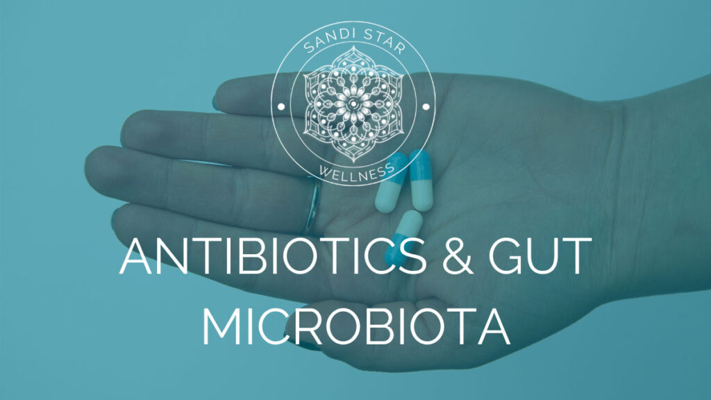 Antibiotics & Gut Microbiota by Sandi Star, HHP, CNC - Sandi Star